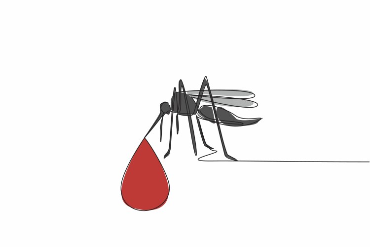 Dengue Vector Images (over 3,900)