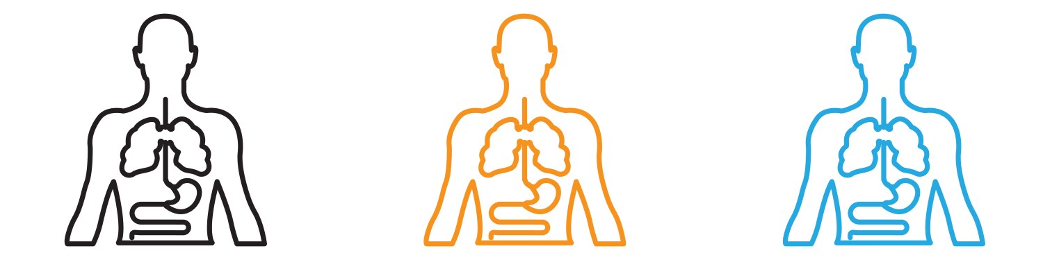 Human body anatomy icon outline collection Vector Image