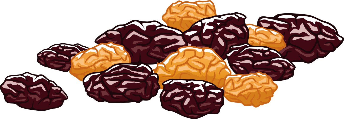 Raisins Vector Images (over 3,200)
