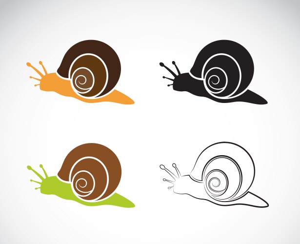 Snail Vector Images (over 43,000)