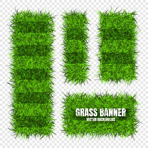 Green grass banners background field meadow Vector Image
