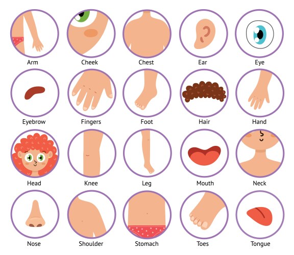 Body Parts Cartoon Vector Images (over 16,000)