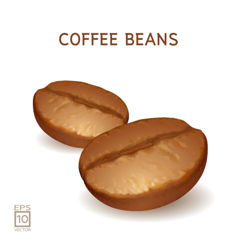 Coffee Beans Vector Images (over 86,000)
