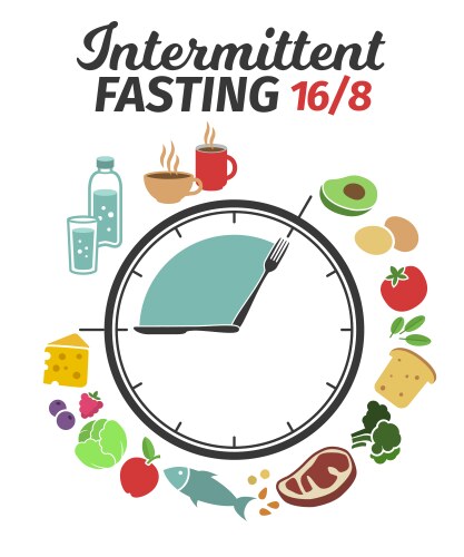 Scheme and concept of intermittent fasting clock Vector Image