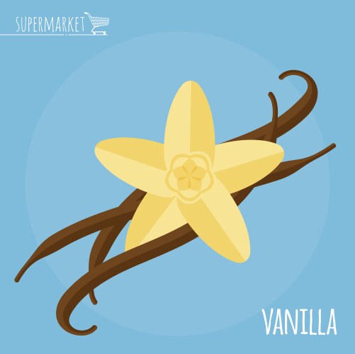 Vanilla icon in flat style on white background Vector Image