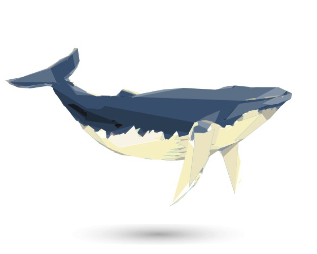 Whale spout Royalty Free Vector Image - VectorStock