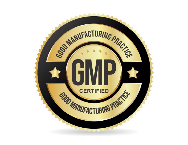 Gmp-good manufacturing practice 6 heading Vector Image