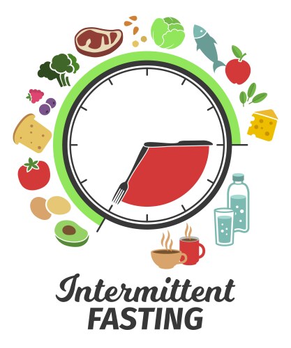 Scheme and concept of intermittent fasting clock Vector Image