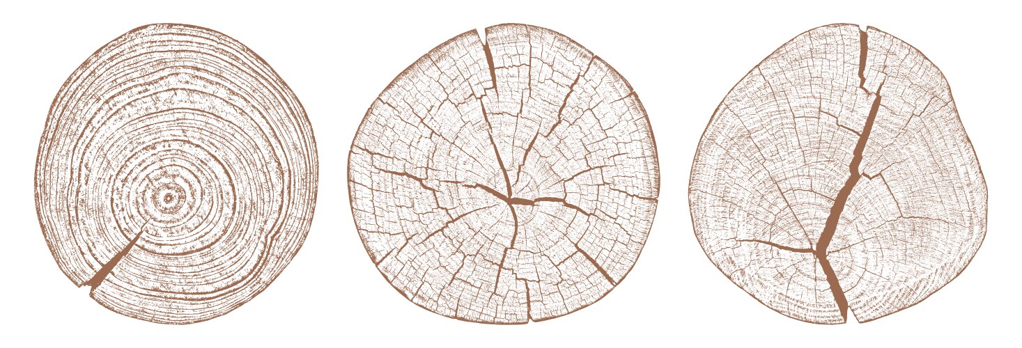 Wood Texture Wooden Vector Images (over 52,000)