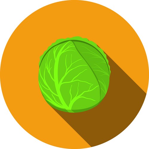 Different of three cabbage icon set Royalty Free Vector