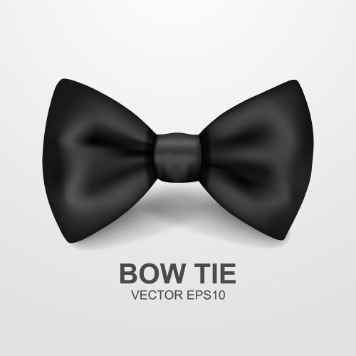 Realistic bow tie Royalty Free Vector Image - VectorStock