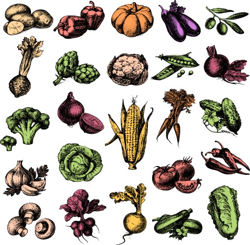 Vegetable Vector Images (over 600,000)