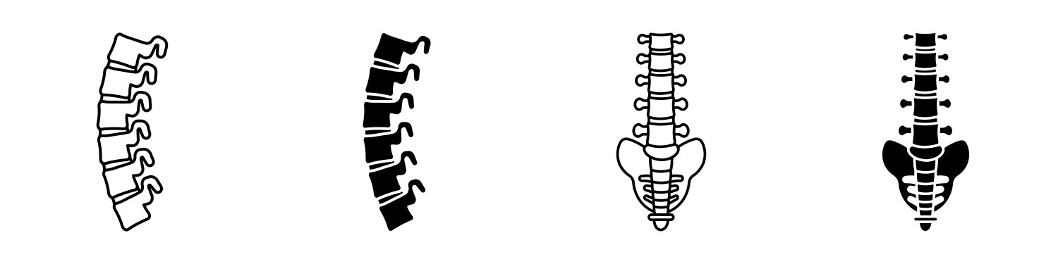 Spinal Column Vector Images (over 1,100)