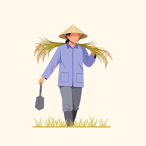 Rice Stalks Vector Images (over 1,200)
