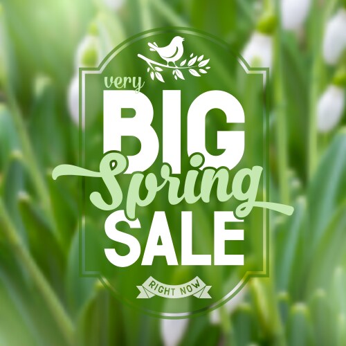 Spring sale poster Royalty Free Vector Image - VectorStock