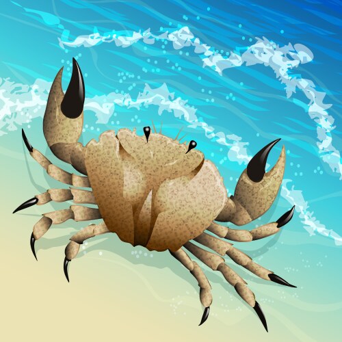 Crab Vector Images (over 40,000)