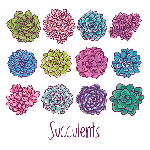 Succulent Vector Images (over 48,000)