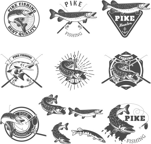 Pike Vector Images (over 7,300)