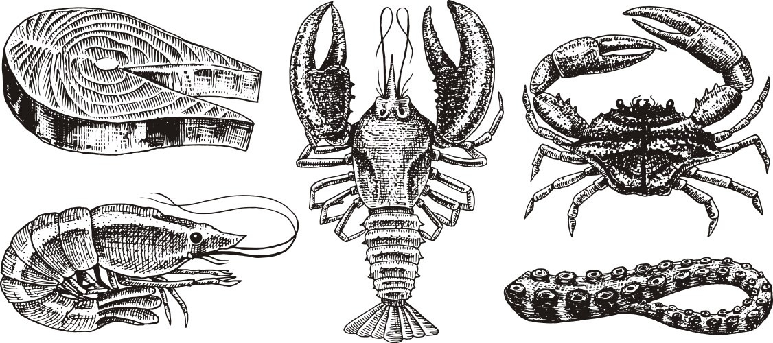 Crustacean set Royalty Free Vector Image - VectorStock