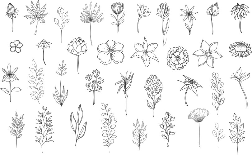 Line art floral elements Royalty Free Vector Image