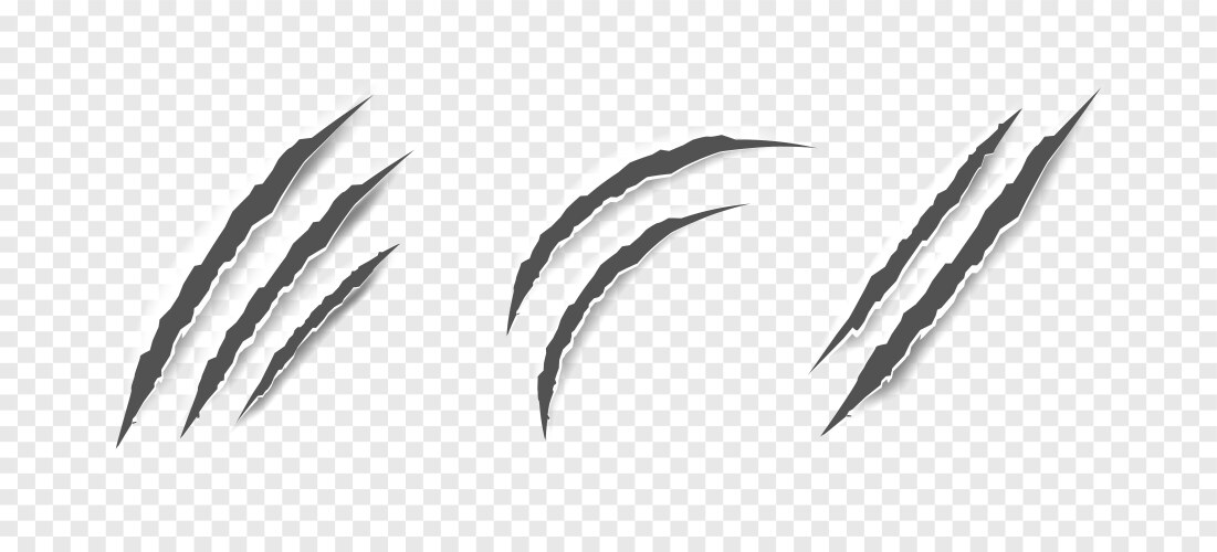 Black claw scratches - isolated claws Royalty Free Vector
