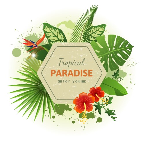 Tropical Vector Images (over 930,000)