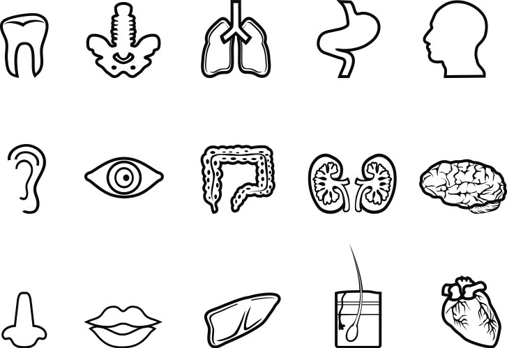 Human Body Parts Outline Vector Images (over 5,800)