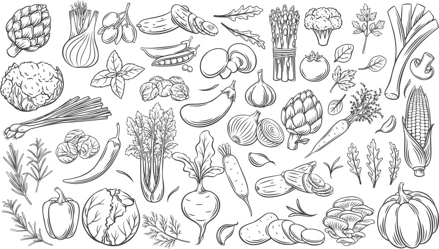 Vegetables Outline Vector Images (over 91,000)