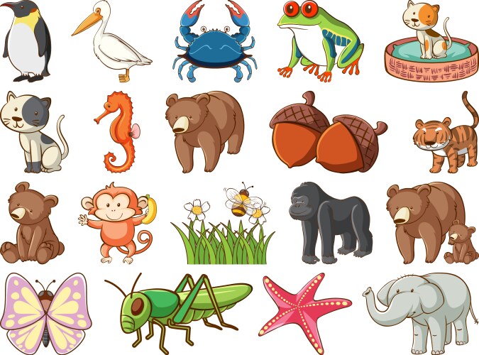 Animals Royalty Free Vector Image - VectorStock