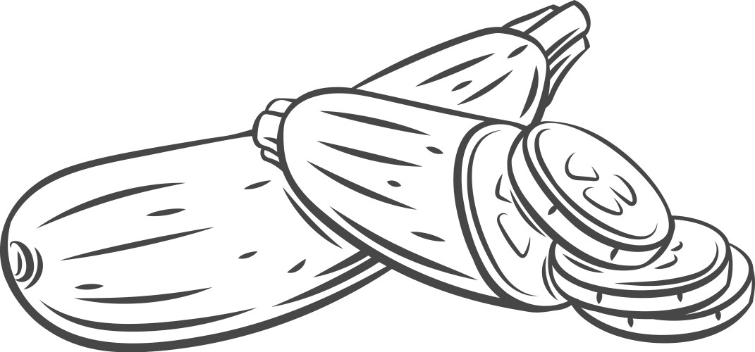 Squash Outline Vector Images (over 3,300)