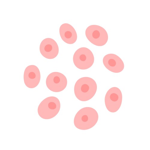 Cell structure normal and cancer Royalty Free Vector Image