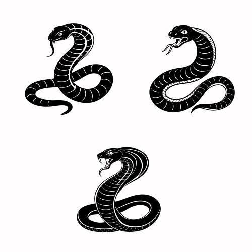 Snake Vector Images (over 64,000)