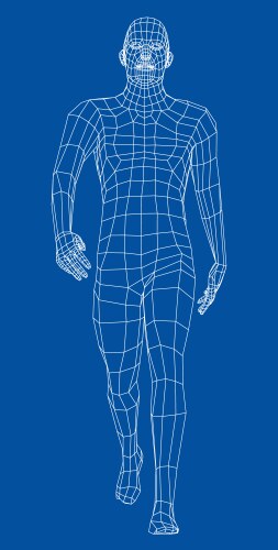 Wireframe walking man Royalty Free Vector Image