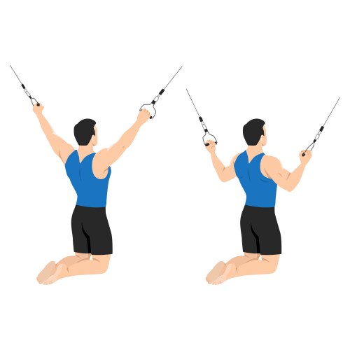 Man doing half kneeling lat pulldown exercise one Vector Image Man doing half kneeling lat pulldown exercise one Vector Image