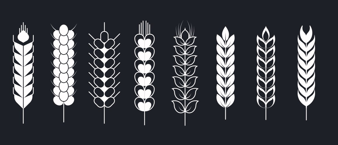 Barley Vector Images (over 35,000)