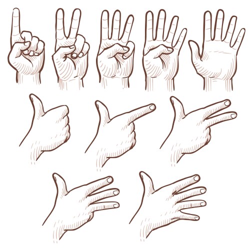 Collection of cartoon hands Royalty Free Vector Image