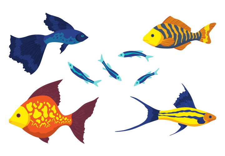 Aquarium fish beautiful underwater character Vector Image