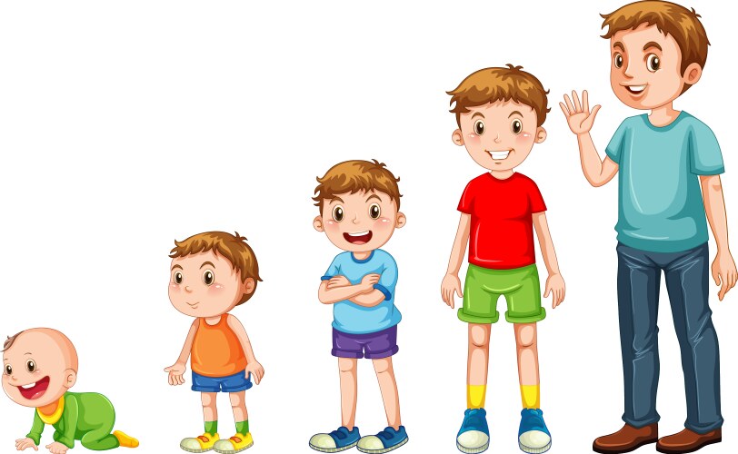 Human growth ages cartoon people old adult Vector Image