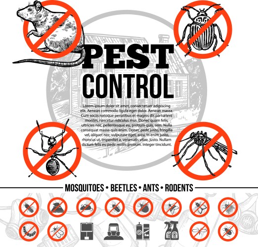Pest Control Vector Images (over 13,000)