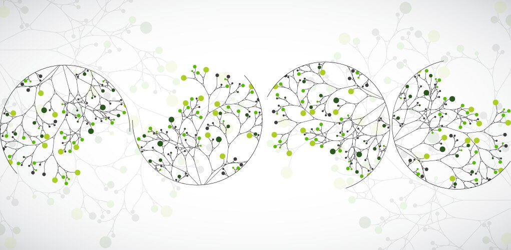 Abstract tree with roots outline plant in garden Vector Image