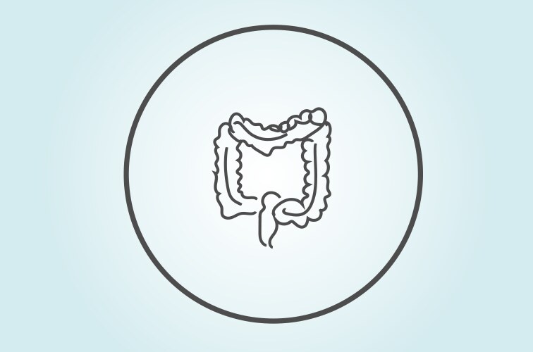 Colon Cancer Vector Images (over 1,900)