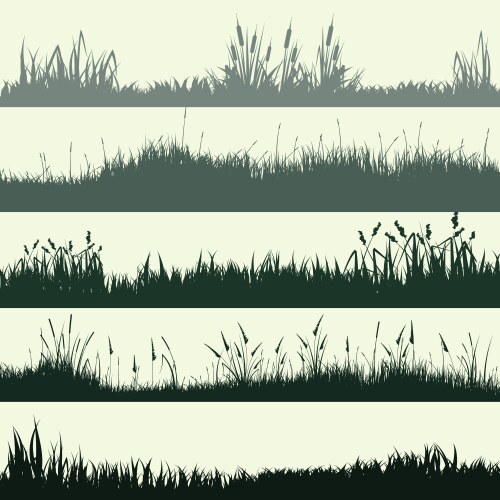 Meadow silhouettes with grass plants on plain Vector Image
