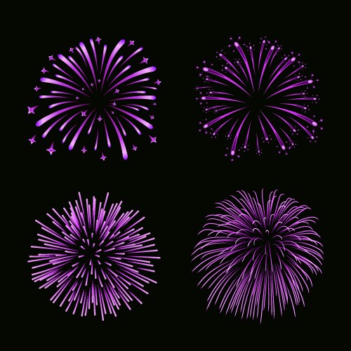 Fireworks on night sky Royalty Free Vector Image