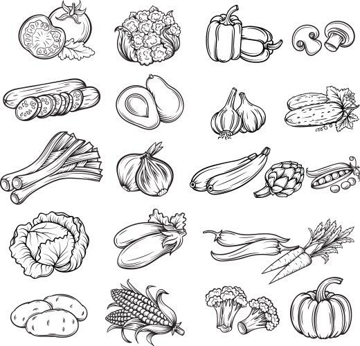 Vegetable Vector Images (over 580,000)
