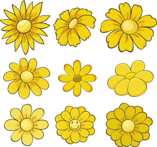 Bush with yellow flowers Royalty Free Vector Image