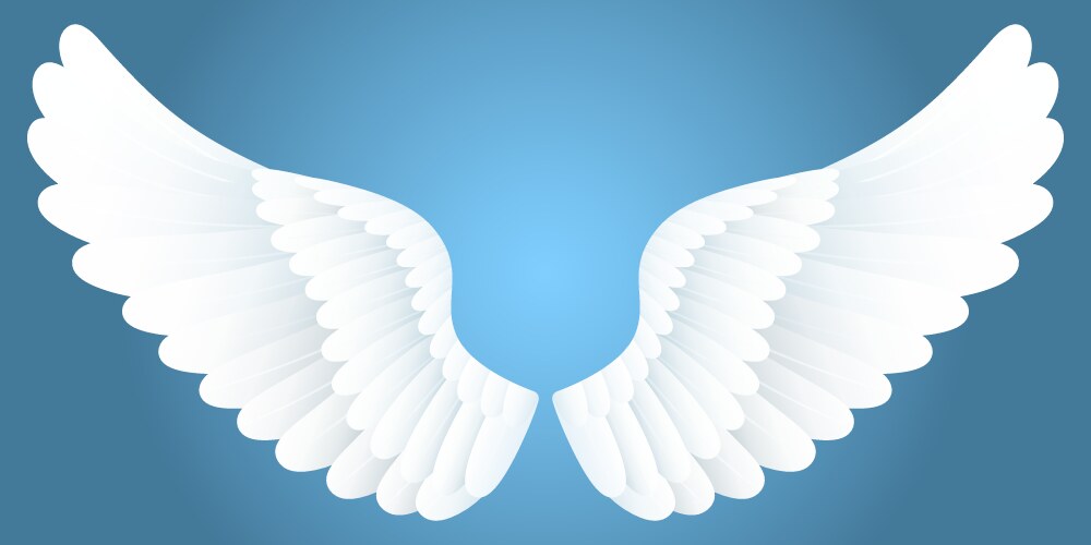 Angel Wings Vector Images (over 48,000)