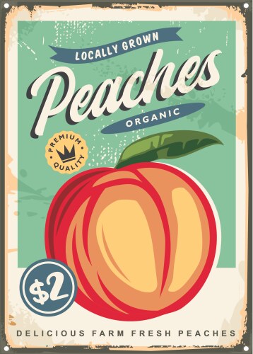 Peaches vintage poster template Royalty Free Vector Image