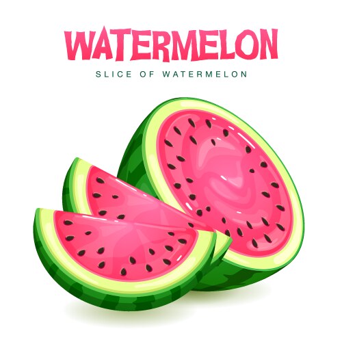 Watermelons composition with whole watermelon Vector Image