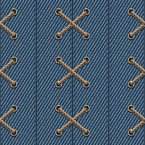 Denim seamless pattern with roses rope lacing Vector Image