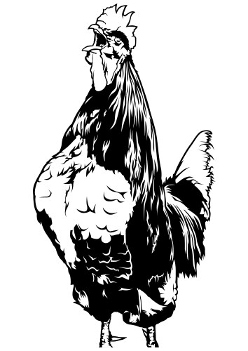 Rooster Outline Vector Images (over 5,200)